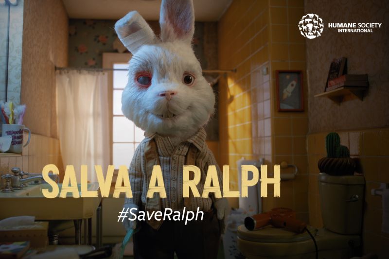 Save Ralph: El cortometraje animado para Humane Society International ...