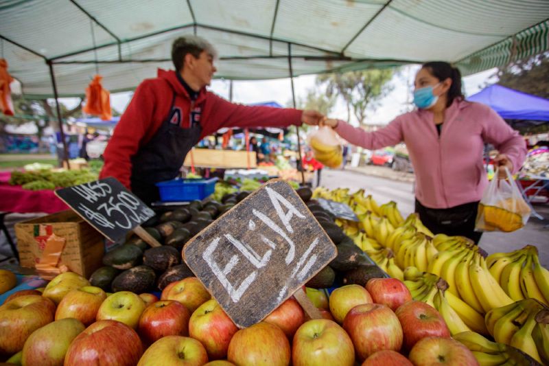 Lanzan fondo de $2.184 millones para ferias libres - Diario Sustentable