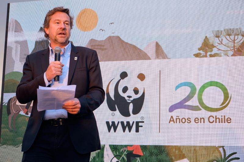 WWF celebró 20 años de trabajo en Chile con reconocimiento a líderes ...