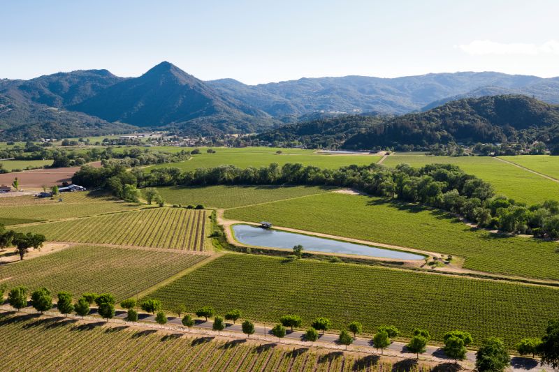 Concha y Toro, Cono Sur y Bonterra Organic Estates triunfan en los The ...