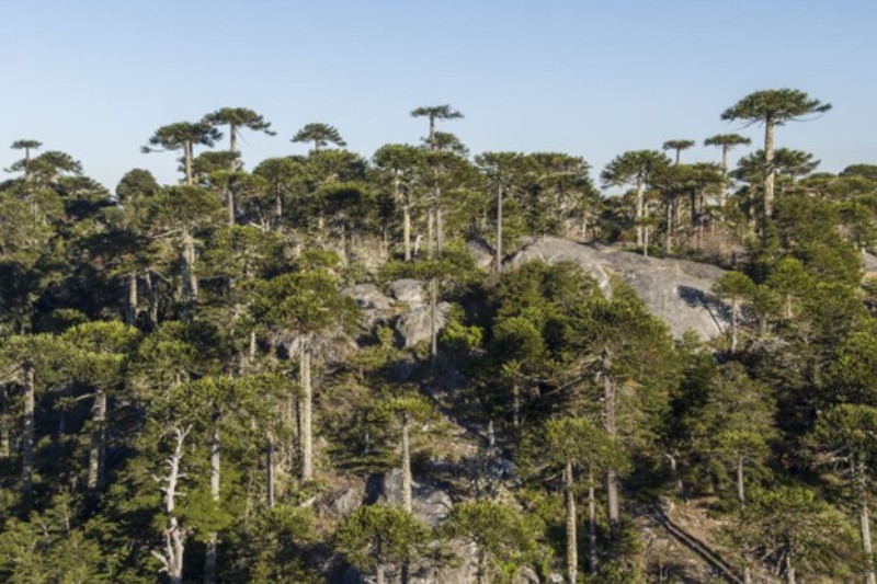 Airbnb y WWF se unen para apoyar proyectos de sostenibilidad social y ...