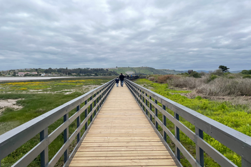 Awto y Fundación Cosmos transforman el acceso y la conservación en el ...
