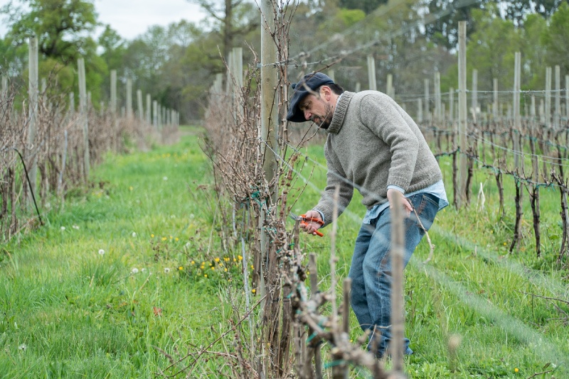 Descubre Casa Klocker Prambs: La innovadora revolución vinícola en Los ...