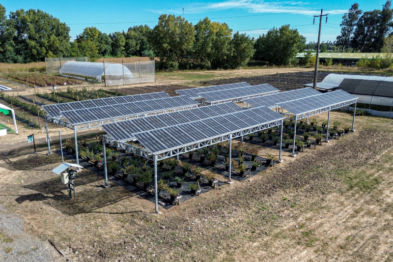 Granja Solar: Una Iniciativa Pionera en Chile - Diario Sustentable