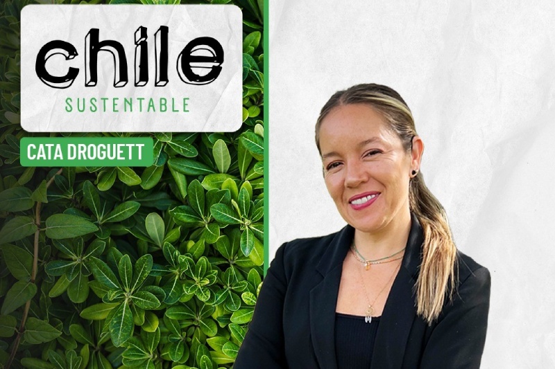 “Chile Sustentable” celebra sus 12 años: Un hito en la promoción de la sostenibilidad en Chile ...