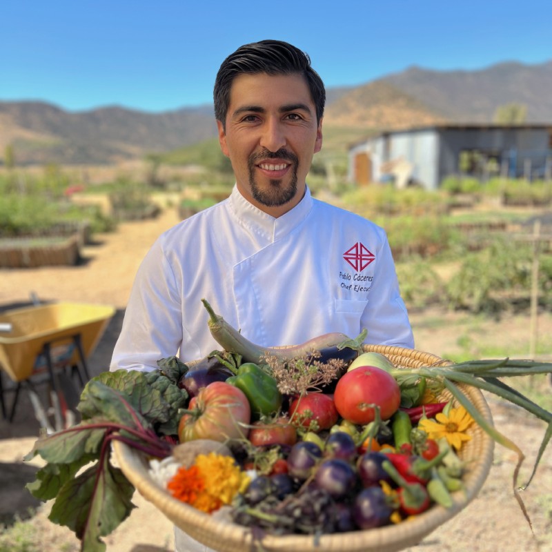 Gastronomía con raíz y propósito: Pablo Cáceres, chef de Viña VIK ...